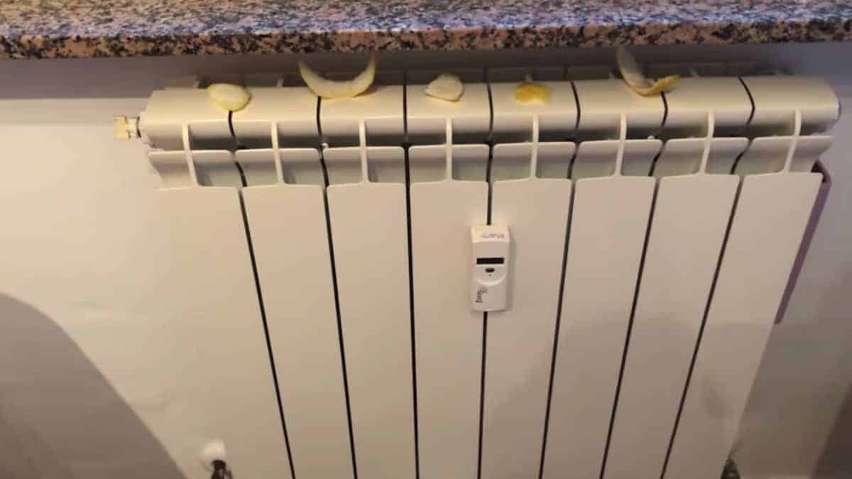 Metti questi sui tuoi termosifoni in casa per profumarla in modo ...