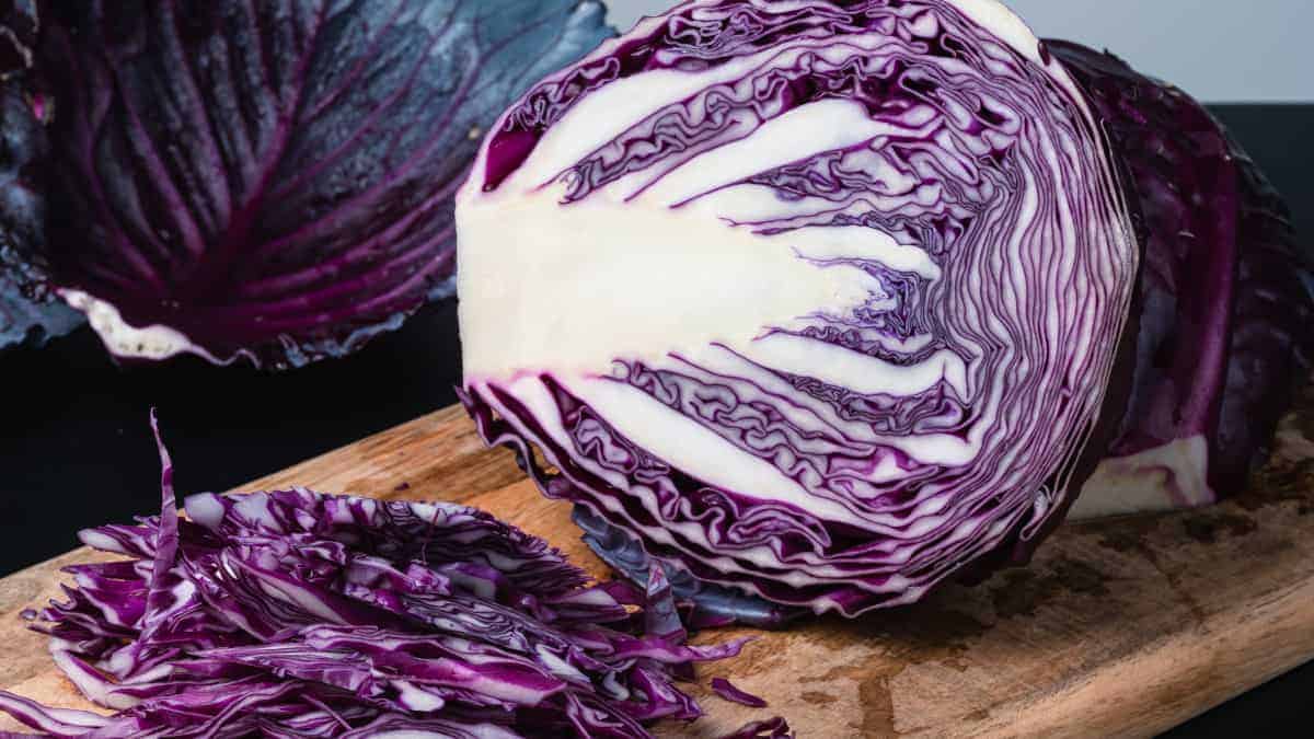 Il cavolo rosso: un tocco di colore nei piatti che promuove la salute