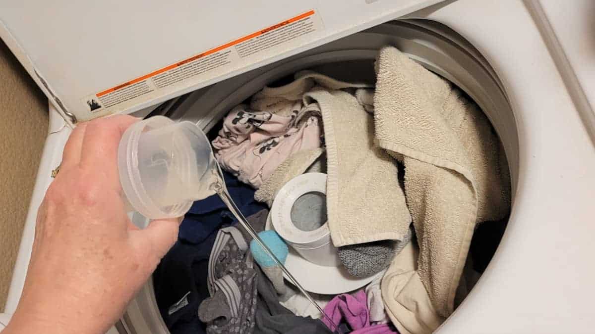 3 Metodi per il bucato ecologico: scopri come farlo in casa semplicemente