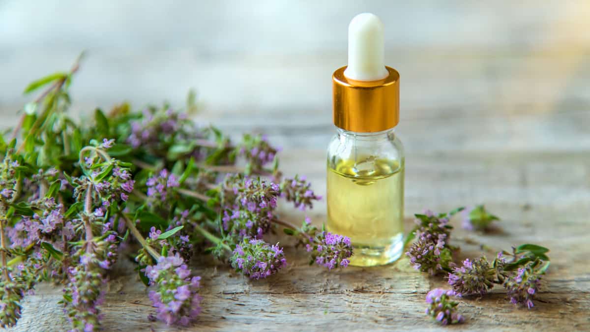 Motivi per cui è fondamentale utilizzare il timo in cucina.