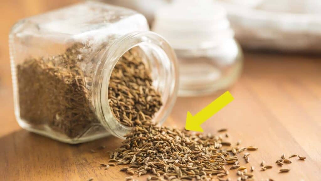 Cumino: benefici, applicazioni e valori nutritivi