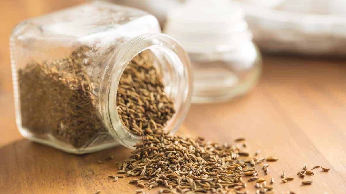 Cumino: benefici, applicazioni e valori nutritivi