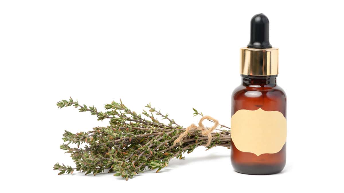 Cumino: benefici, applicazioni e valori nutritivi