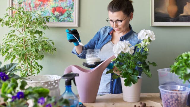 I benefici della cenere per le piante: come e perché utilizzarla