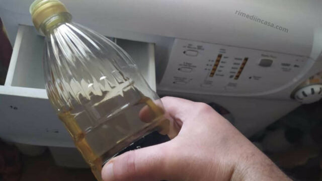 Usare aceto bianco nella lavatrice: scopri gli effetti sorprendenti di versarlo nel ...