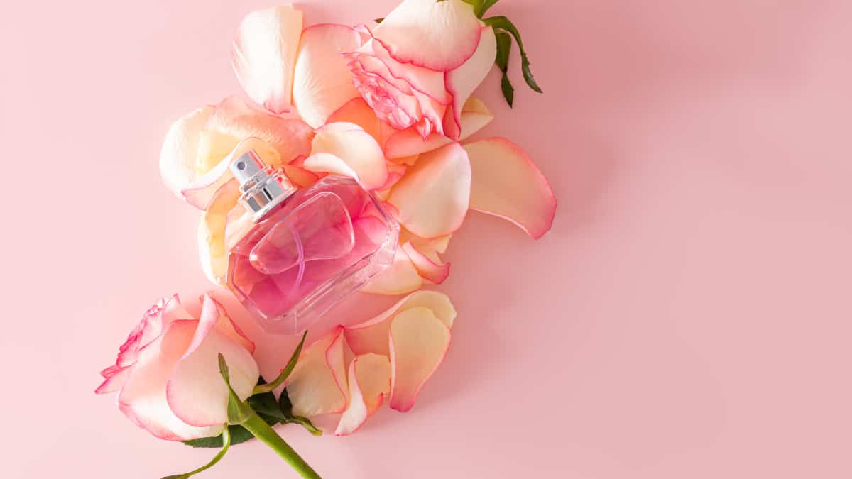 Differenze tra eau de toilette e eau de parfum: come scegliere il ...
