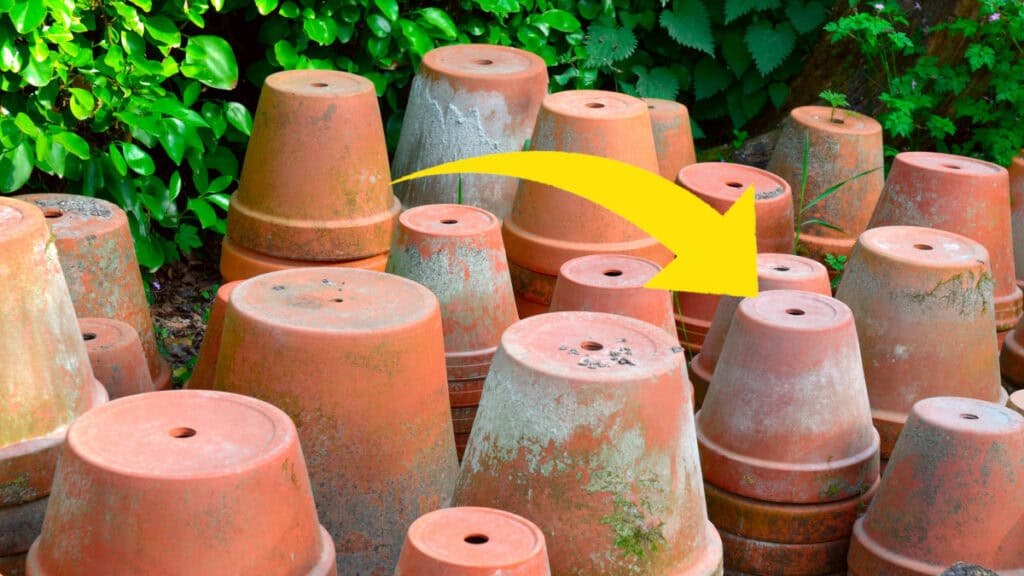 L’utilità dei buchi nei vasi da fiori: senza di essi molte piante ...